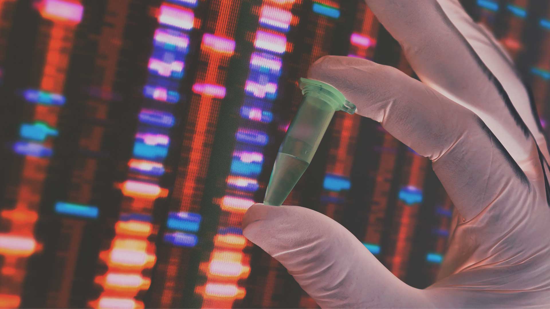 The Risks of Home DNA Tests for Military Personnel - ArmyConnect™